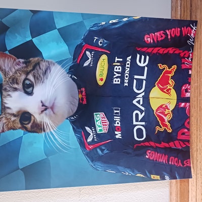 Red Ball, Formula Racing Car, F1 Driver Team Pet Portrait, Custom Dog ...