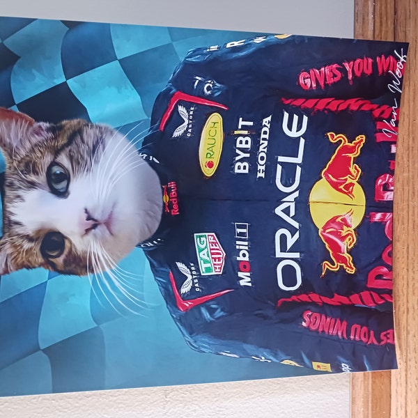 Red Ball, Formula Racing Car, F1 Driver Team Pet Portrait, Custom Dog ...