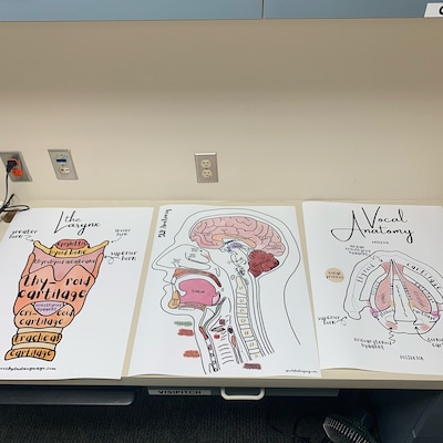 Anatomy, Oral Mech, & Articulation SLP Labeled Posters Set of 3 ...