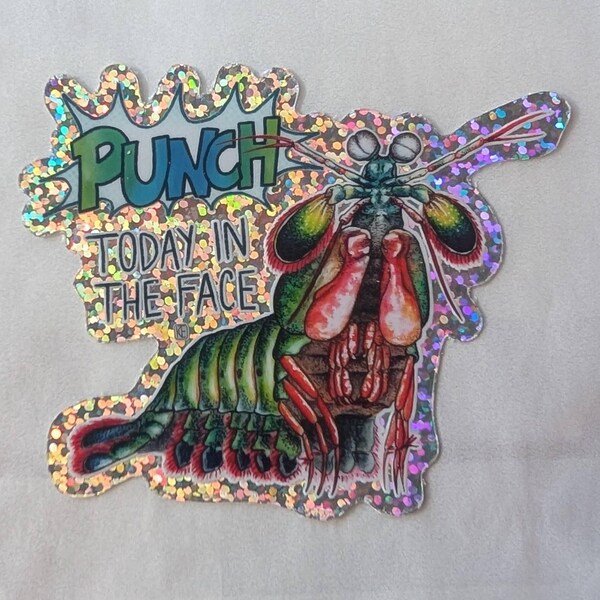 Roly Poly Vinyl Sticker - Etsy