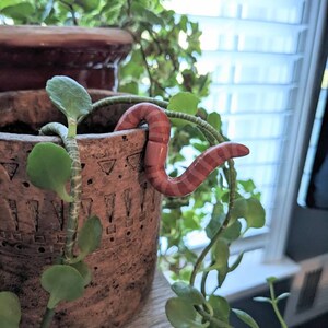 Earthworm Pot Pal Plant Pot Accessory - Etsy