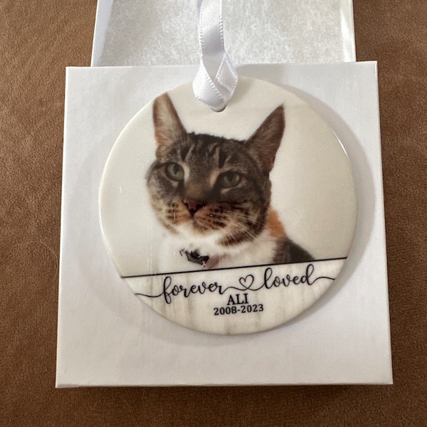 Custom Porcelain Cat Ornament Personalized, Cat Photo Gift, Pet Lover ...