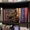 Dragon Book Nook, Tabletop Fantasy Role-playing Props, Unique ...