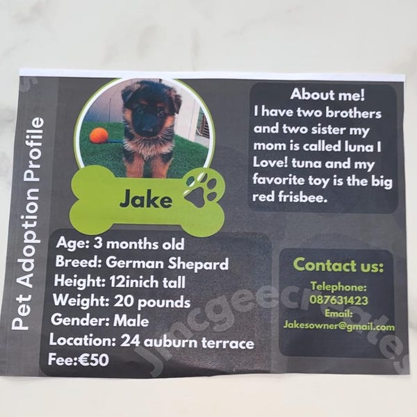 Adoptable Dog Poster Set | Editable Printable Art | 29 X 23cm |multiple ...