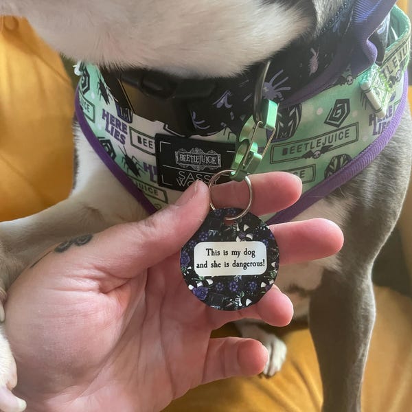 Spongebob Squarepants Collection Personalized Pet Tags, Dog Tags for ...