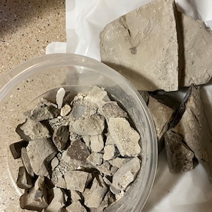 Ebevbarie/ Dried Fish/ 8 Pieces - Etsy