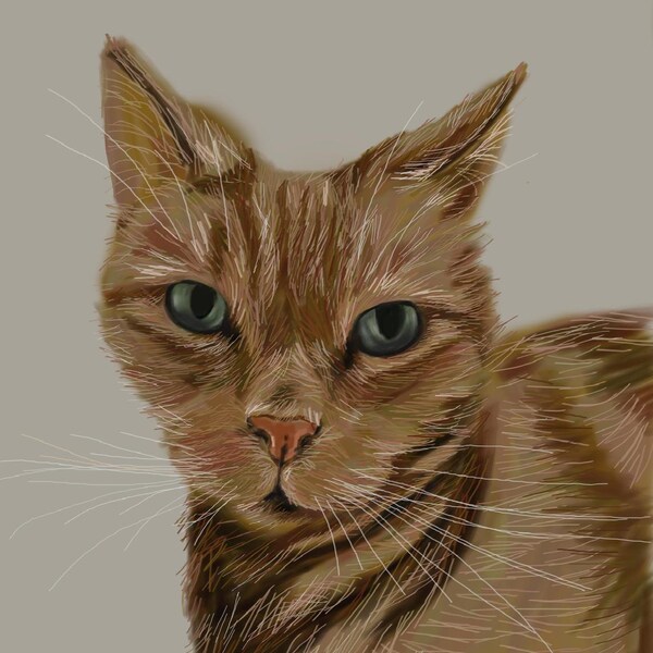 Cat Art, Funny Cat Poster, Cats and Bees, Cats in the Tree, Comic Art ...