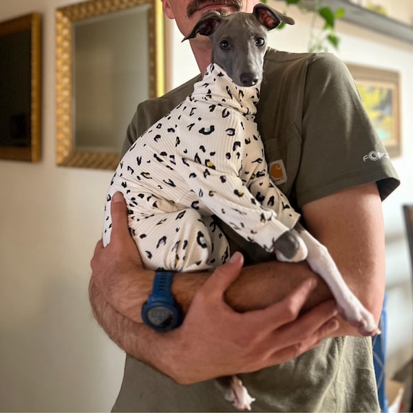 Italian Greyhound Rib Knit Pjs - Etsy