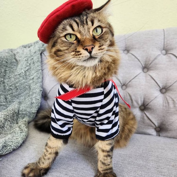 Complete French Cat Outfit- Cat Beret, Ascot and Striped Shirt Pet ...