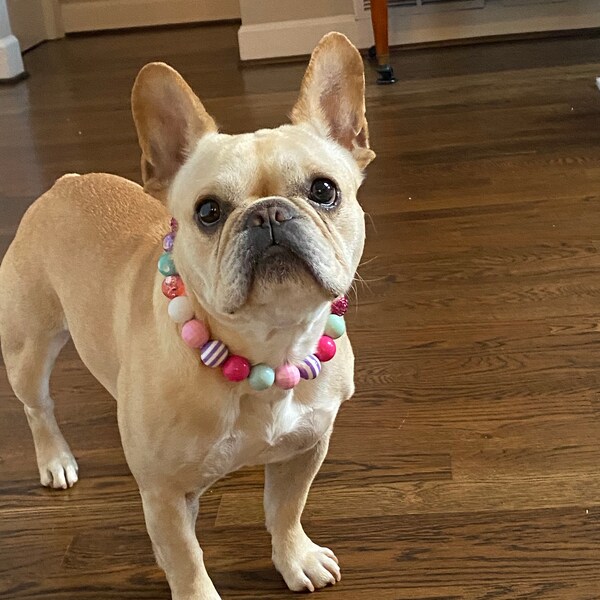 Customized "peppermint Patty" Pet Necklace - Etsy