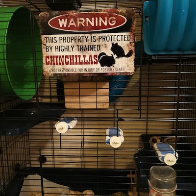 Chinchilla Sign,funny Metal Signs,chinchillas,chinchilla Cage ...