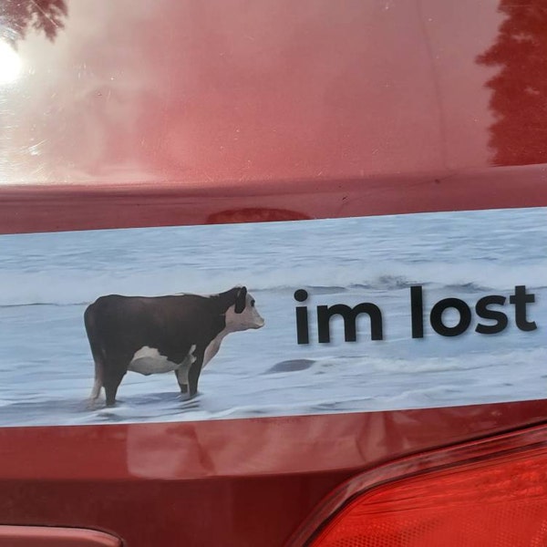Probably on My Way to Starbucks Car Decal, Car Sticker, Starbucks Lover ...