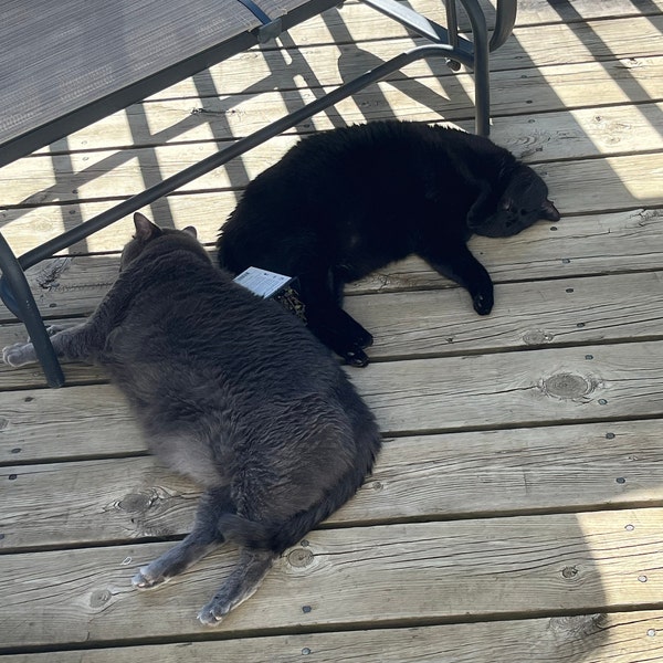 Small Suicideboys Black Resin Keychain, G59, Black Pigment, Silver ...