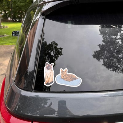 Tortoiseshell Cat Art, Tortie Cat Poster, Cat Breed Artwork, Funny Gift ...