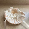 Sea Shell Hair Comb, Beach Wedding Beach Hair Accessory, Seashell Hair ...