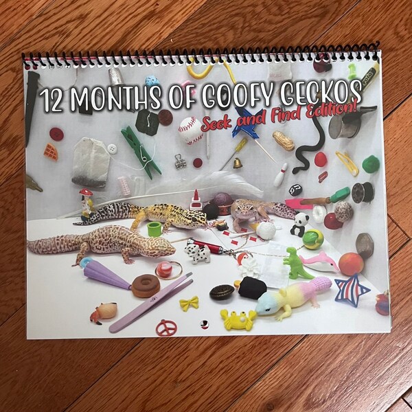 12 Months of Goofy Geckos Seek and Find 2025 Calendar - Etsy