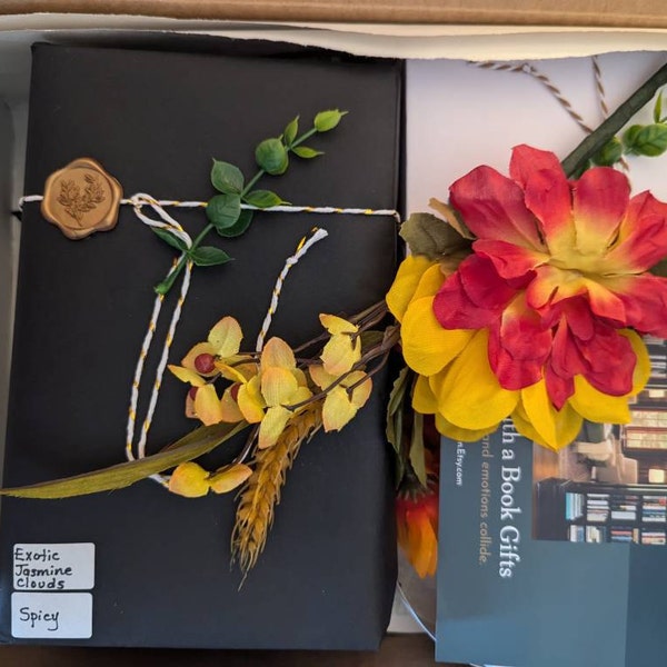 Blind Date With a Book, Surprise Book Box, Exciting Book Bundles ...