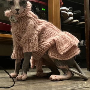 Yellow Cat Hat Hand Knit Sphynx Cat Accessories Pet Winter Beanie for ...