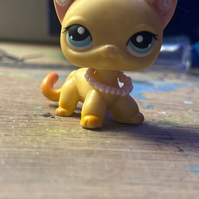 Authentic Littlest Pet Shop, LPS, Lot LPS Bundle of 45 Pets Rare LPS - Etsy