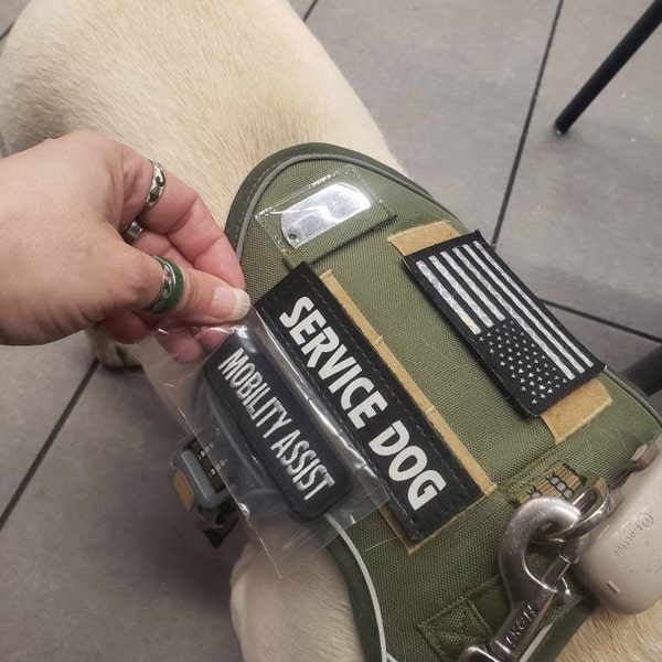 MOBILITY ASSIST - SD-014 Service Dog Embroidered Patch - 3 Inch X 1 ...