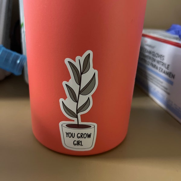 You Grow Girl Potted Plant Sticker, Potted Plants Succulent Planting ...