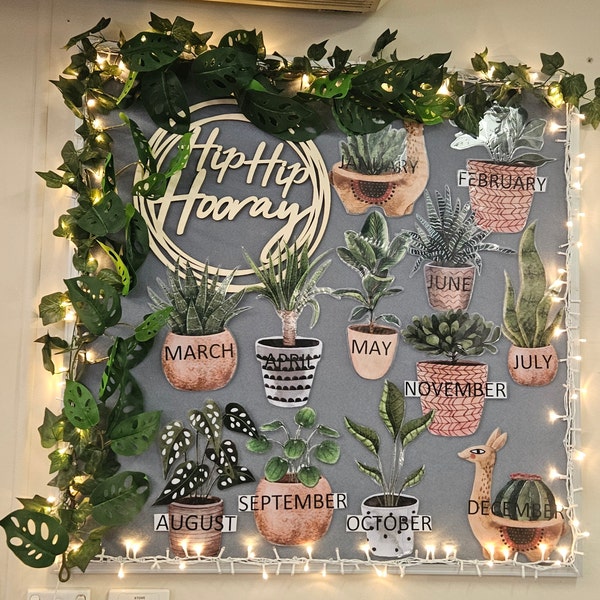 Birthday Month Flower Birthday Display | Birthday Chart, Flowers ...