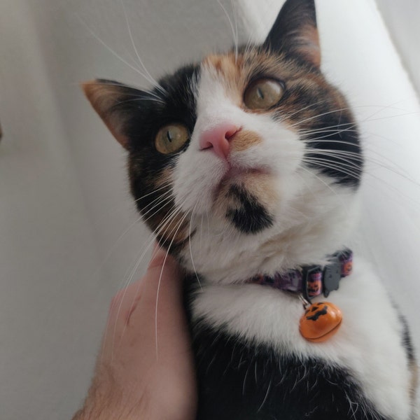 CAT COLLAR | Kitten Collar | Handmade Cat Collar | Reflective Collar ...