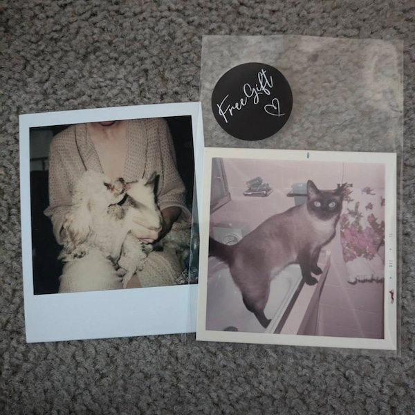 1930s Vintage Photo Booth Profile of Woman With Head Scarf Vintage ...