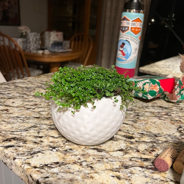 Golf Ball Planter/bowl - Made in Canada - Etsy