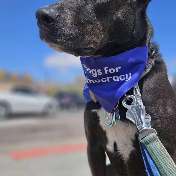 Personalized Math Ornament, Custom Mathematics Teacher Gift ...