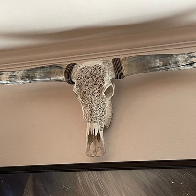 Real Buffalo Skull on Pedestal, Buffalo Skull Decorated Metalized ...