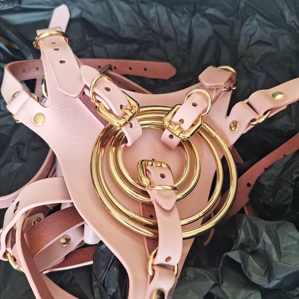 Plus Size Harness Chest, Full Body Harness Bdsm, Open Cup Bra, Leg Garter Belt Leather, Lingerie ...