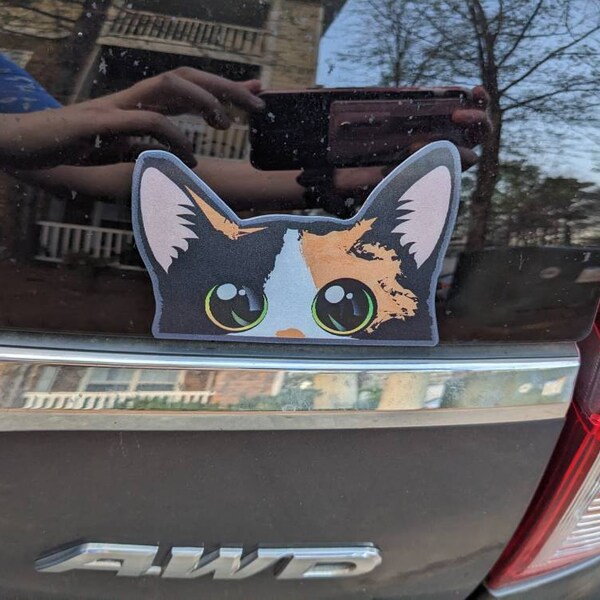 Grey Tabby Cat Peeker Vinyl Sticker 3D Motion/animated | Cats Stickers ...