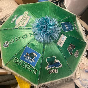 University of Delaware Sticker Pack - Etsy