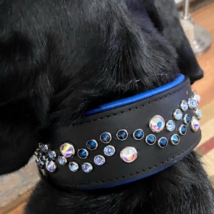 Luxury Big Dog Collar With Spikes 3 Inch Width - Etsy