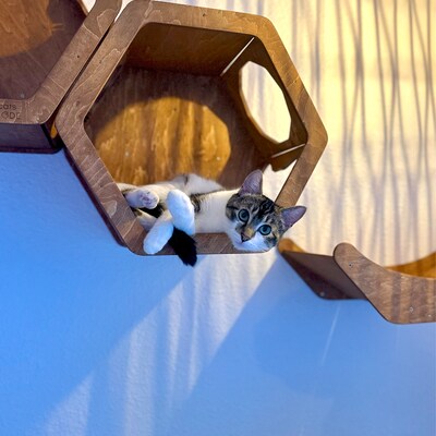 Wall Shelves for Cat, Cat Shelves, Cat Climbing Wall Shelf, Cat House ...
