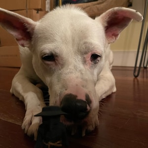 Pretty H8 Machine Taylor's Version Era ( HIGH QUALITY Comfort Colors ...