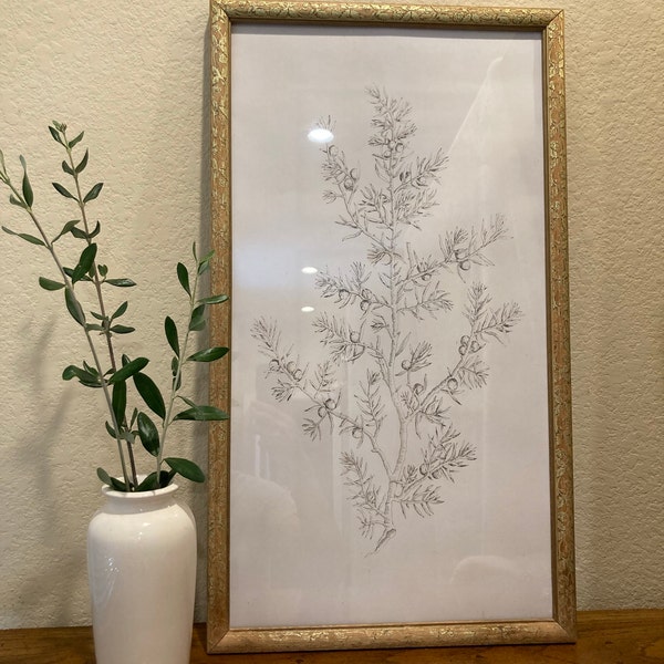 Olive Branch Drawing / Botanical Etching Print / Vintage Sketch Art ...