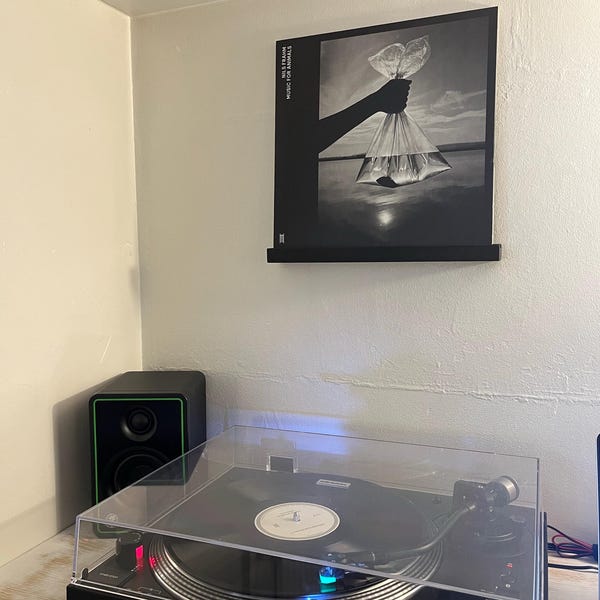 Black Ash Noise Isolation Platform - Handcrafted Vibration Control for ...