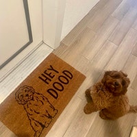 1426 Hey Dood Golden Doodle Dog Goldendoodle Doormat Labradoodle ...