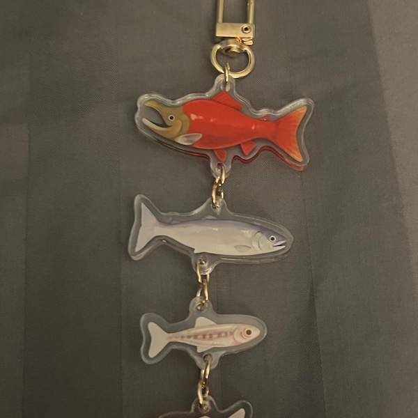 Salmon Life Cycle Keychain | Connection Sockeye Fish Biology Art - Etsy