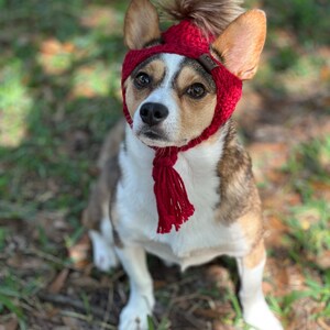 Corgi Beanie Dog Beanie Corgi Hats Dog Hat Dog Beanie Fur Baby Beanies ...