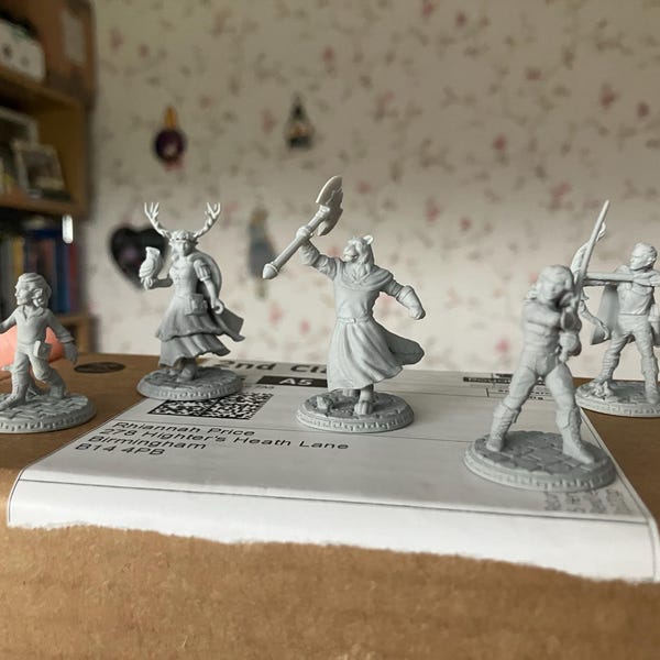 Owlin | Owlrakokra | Owlfolk | Aarakokra Druid I Wizard I Sorcerer ...