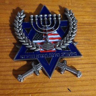 United States Navy Seabees angry Bee We Build We Fight 2 Challenge Coin ...