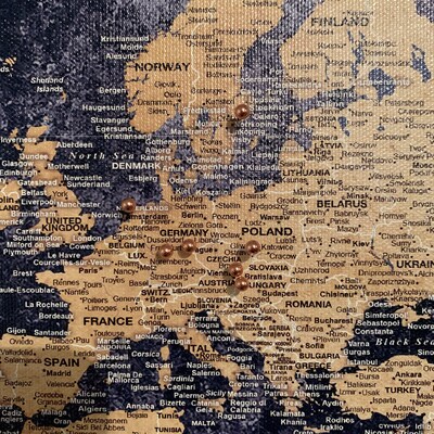 Gold & Navy Textured World Push Pin Map on Premium Canvas With ...