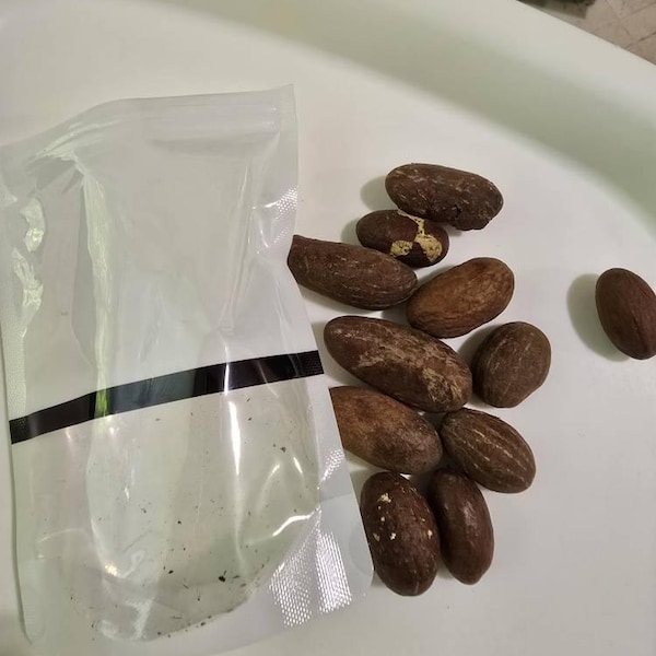 Moi Moi Stainless Containers 5 Pieces - Etsy