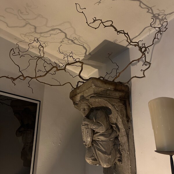 Twisted Willow Branches Tall Curly Twigs for Vase Natural Dried Stems ...