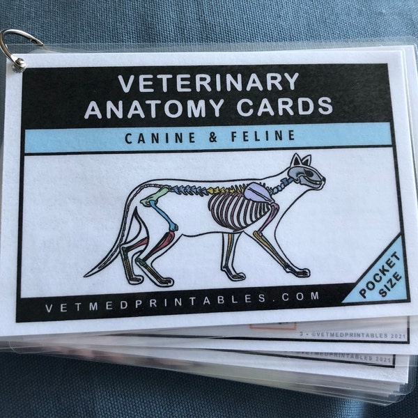 Anatomy Study Note Template for Veterinary, Medical & Science Students ...