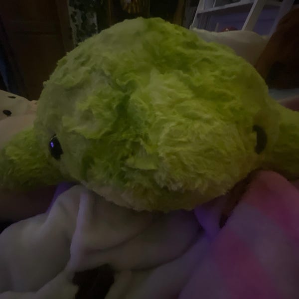 Sky Blue Baby Blue Baby Bean Frog. Baby Bean Froggy Friend. Stress ...