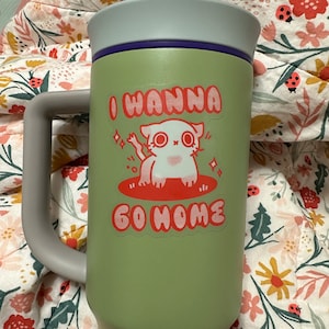 Clear Transparent Vinyl Sticker I Wanna Go Home Kitten Cat Kawaii Cute ...